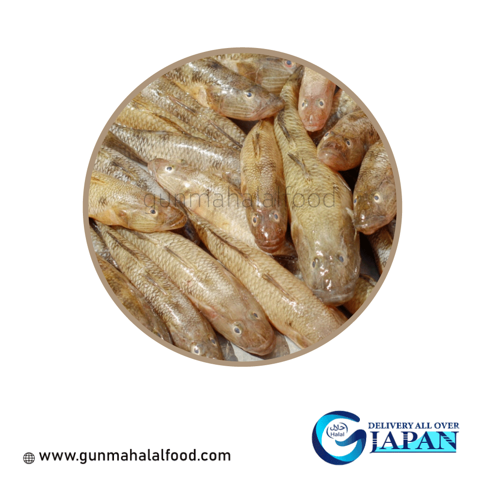 Baila Fish / bele (500gm) Frozen - Gunma Halal Food
